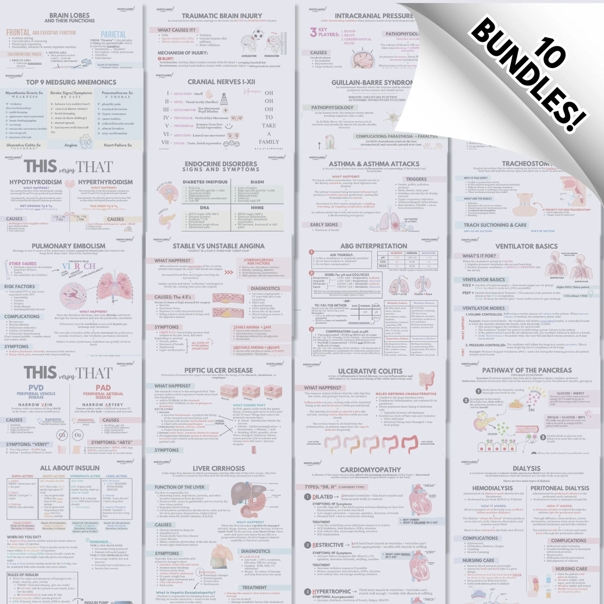 Individual Study Bundles – RNExplained