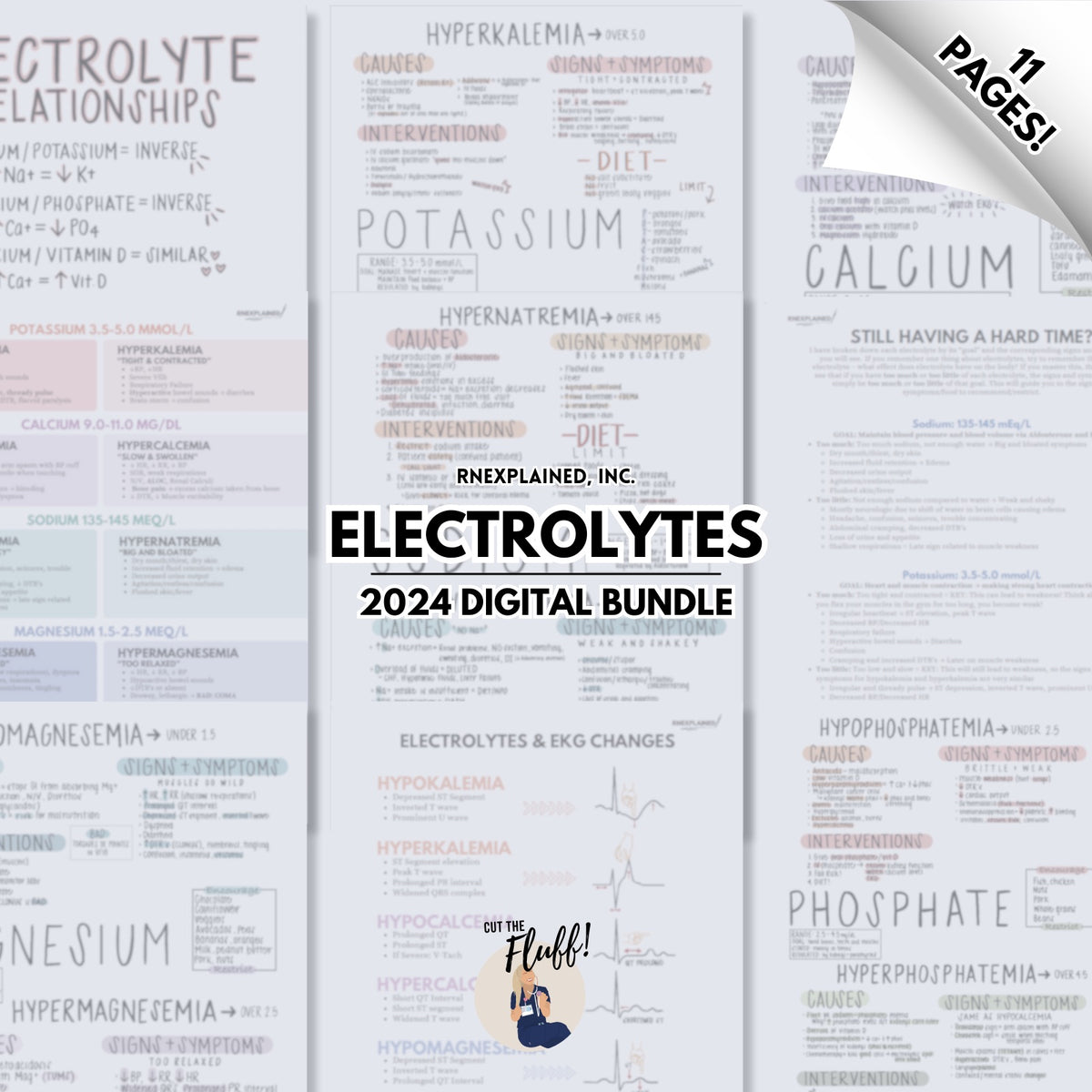 Electrolyte Bundle - Digital – RNExplained