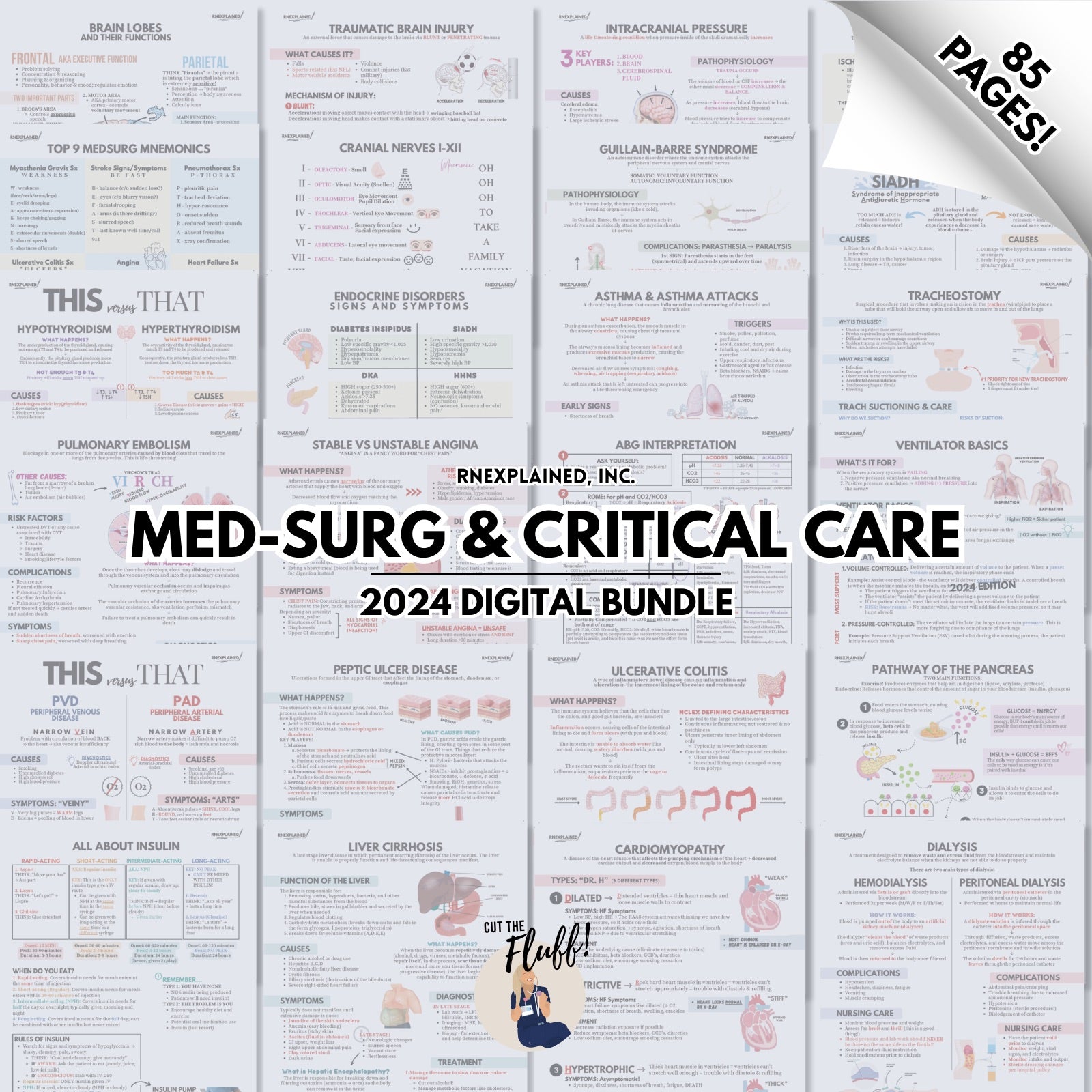 Individual Study Bundles – RNExplained