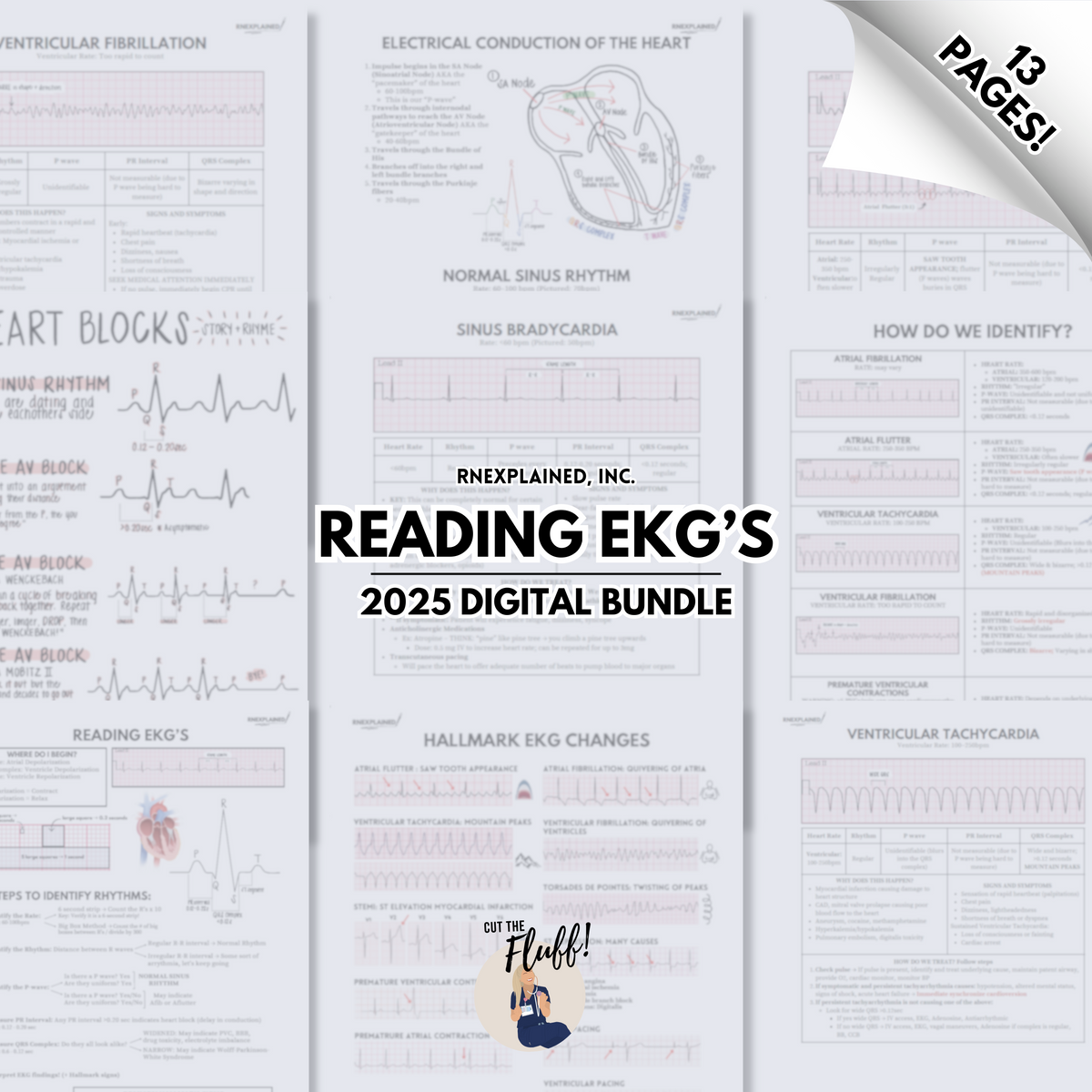 EKG Bundle - Digital – RNExplained
