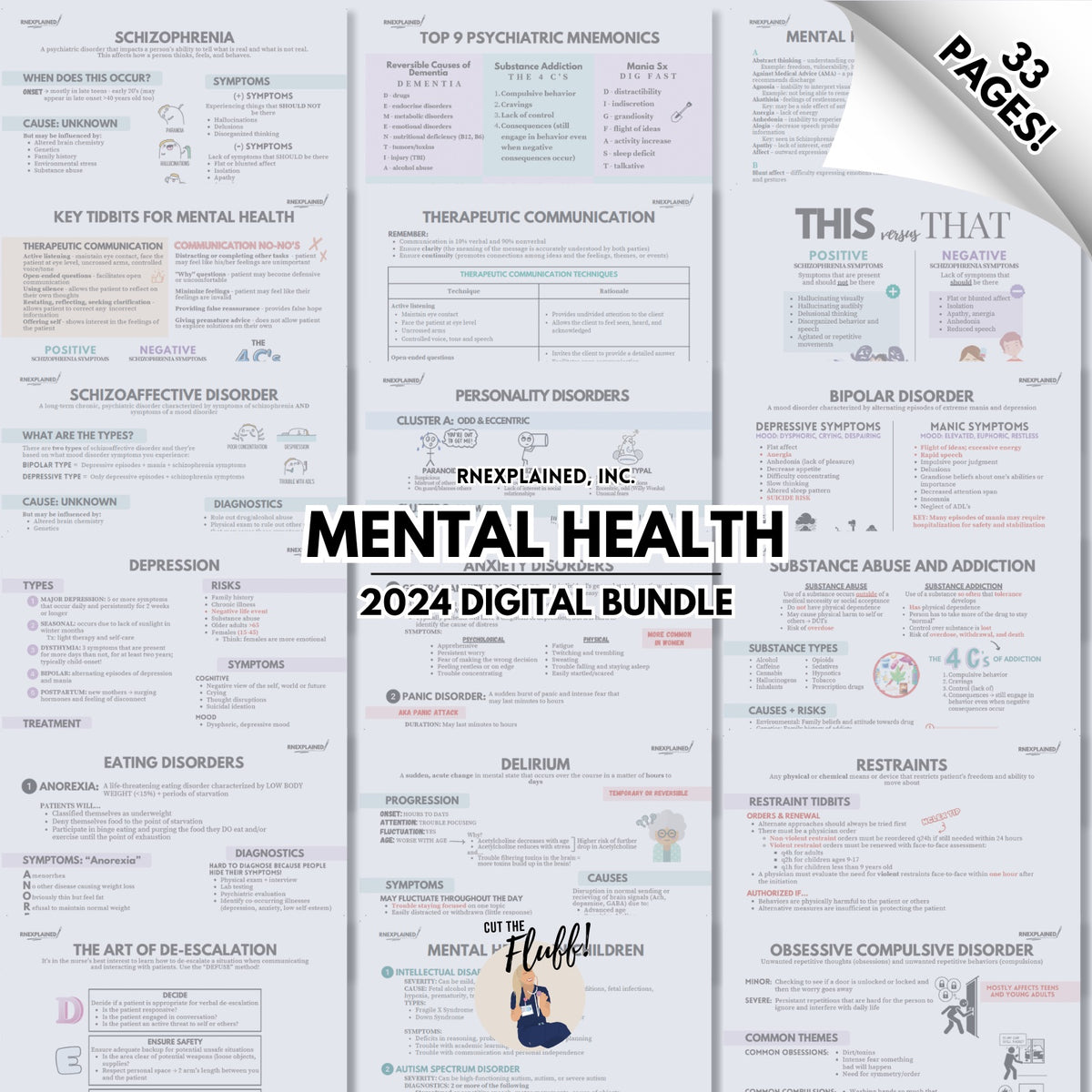 Mental Health Bundle - Digital – RNExplained