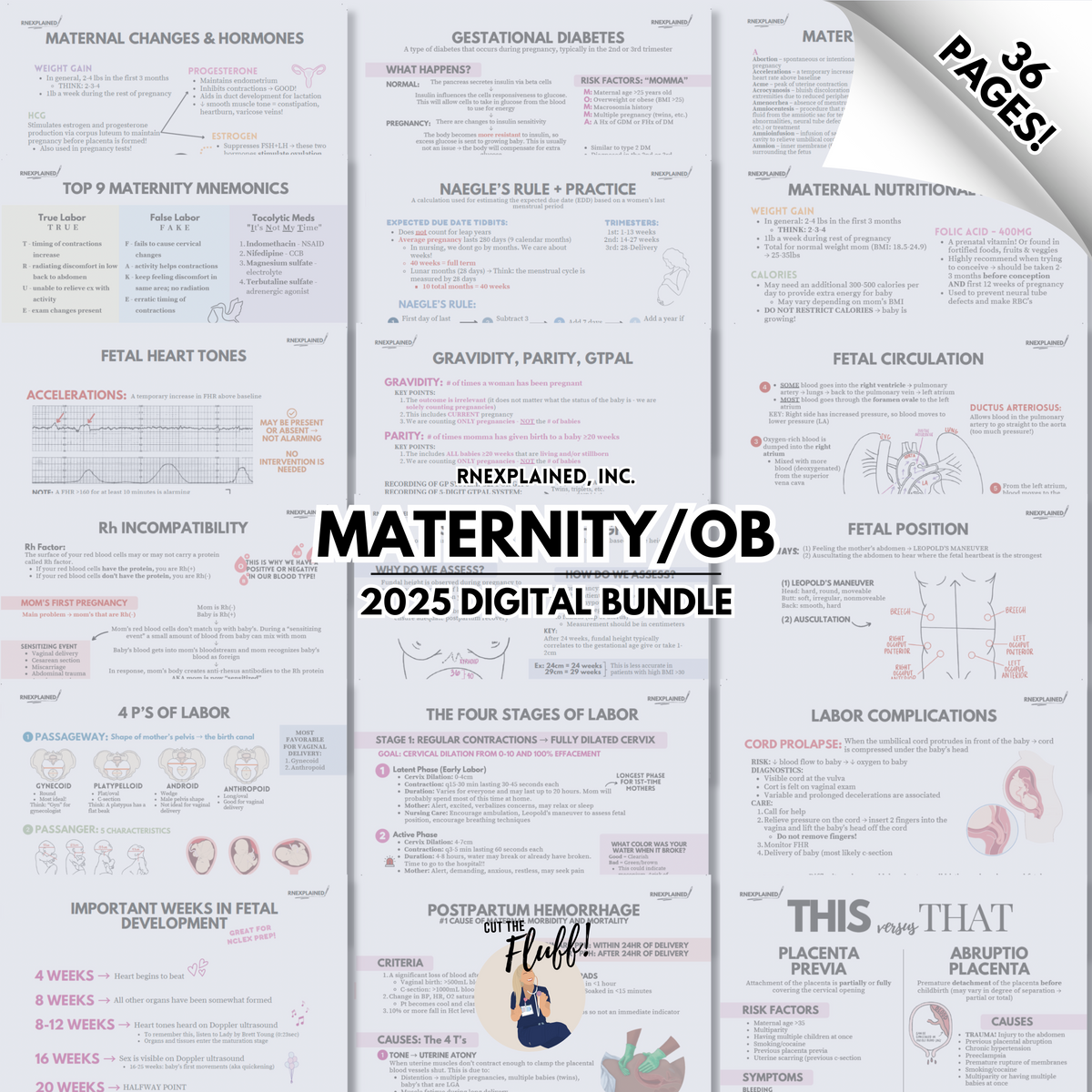 Maternity/OB Bundle - Digital – RNExplained