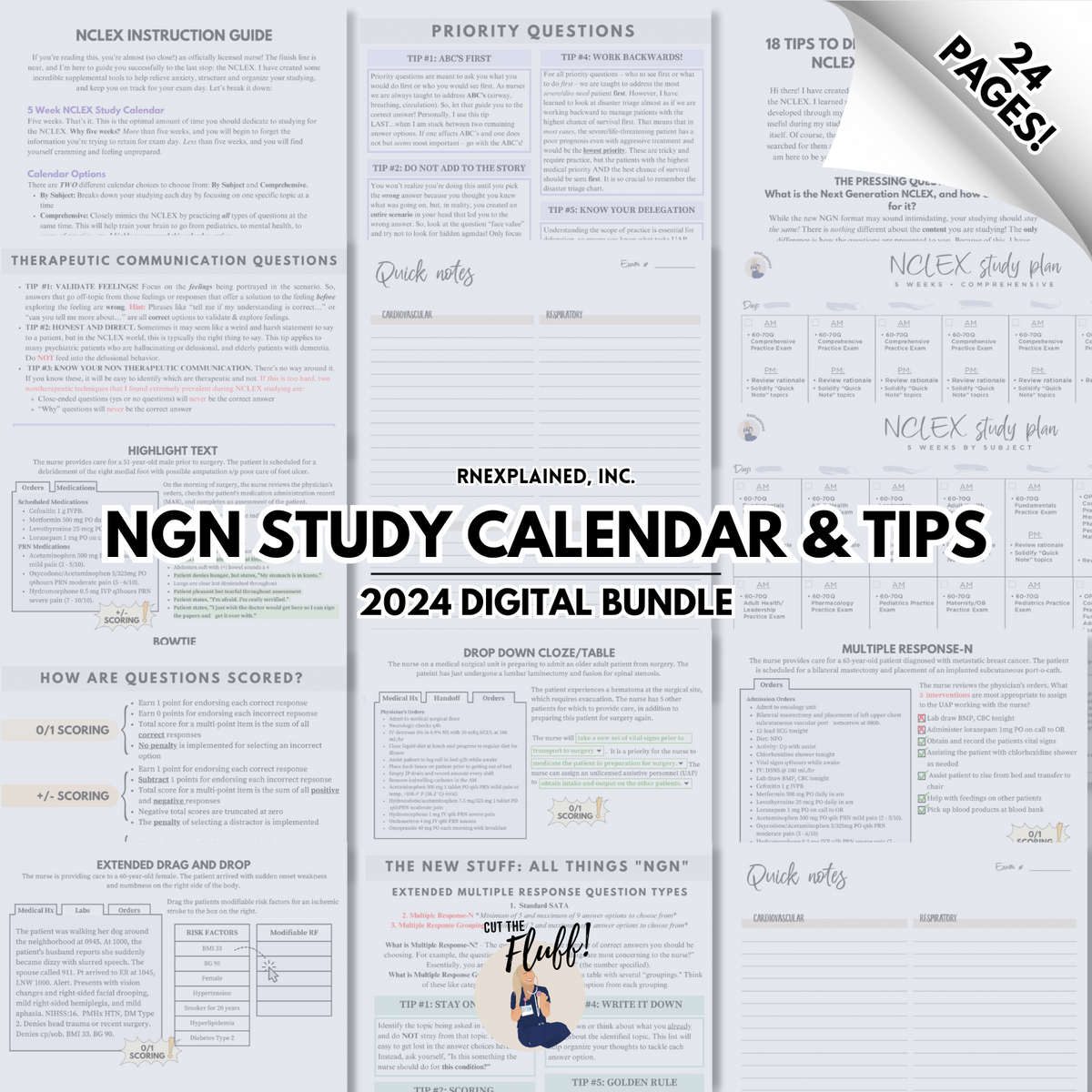 2024 NGN (NCLEX) Study Calendar + Tips - Digital – RNExplained