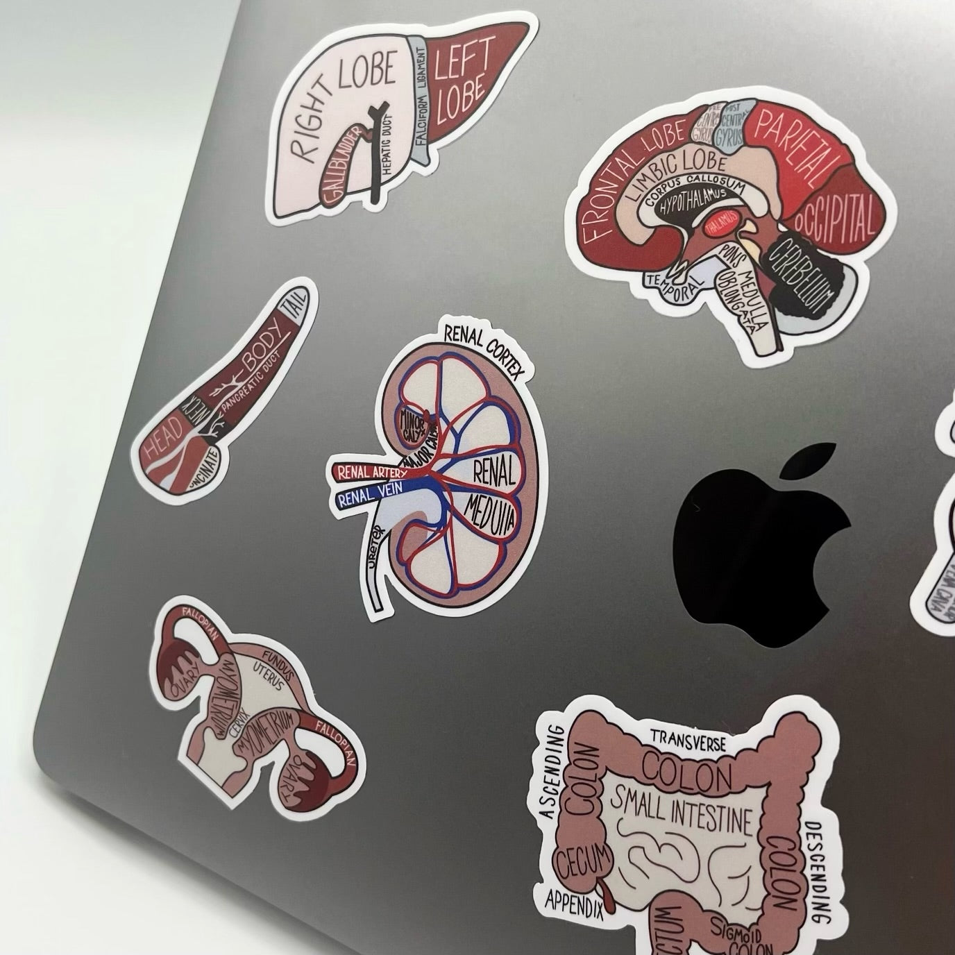 Accessories – RNExplained